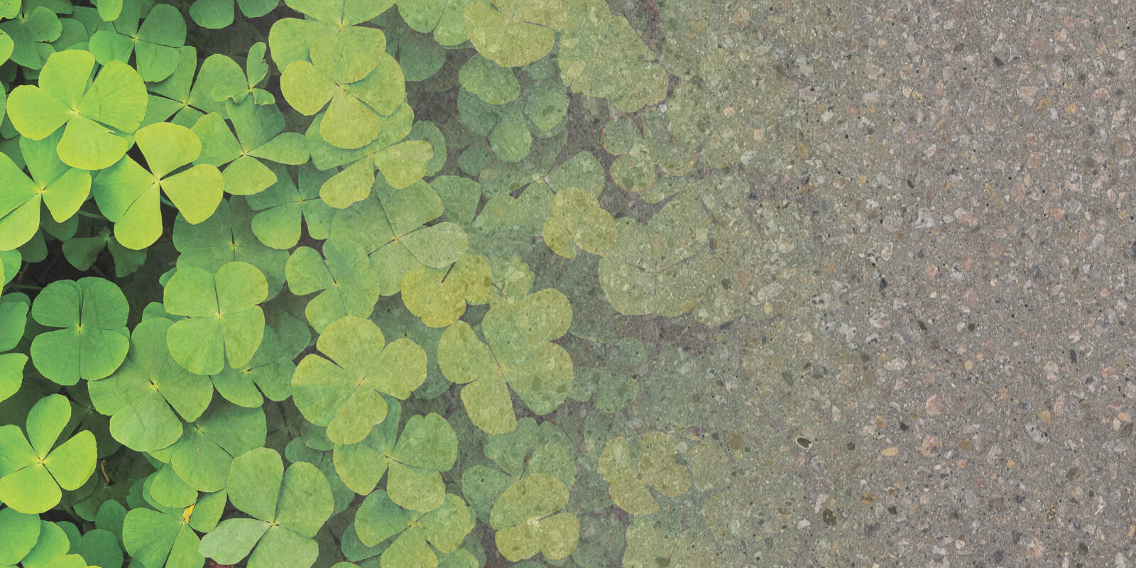 Shamrock - Stoneworks® Pavers